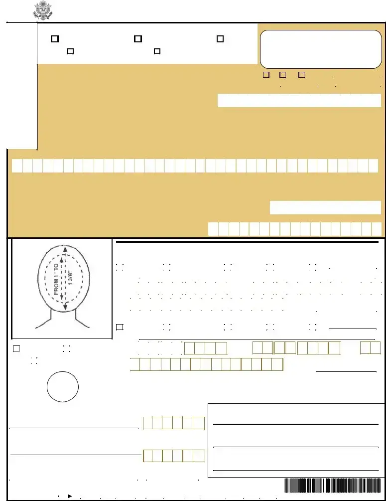 DS-11 U.S. Passport application Form — Blank PDF Template